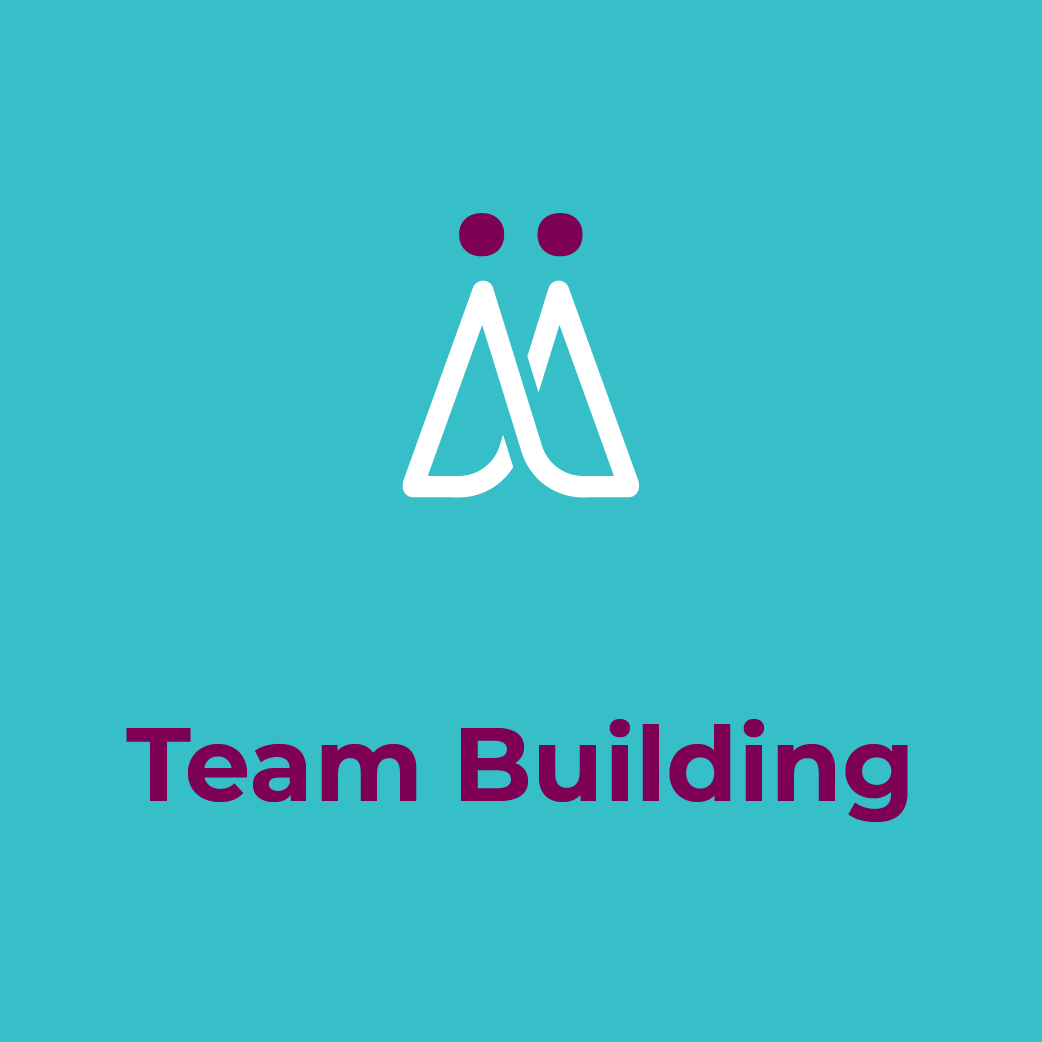 Team Building - Discover Team Peaks Srl company